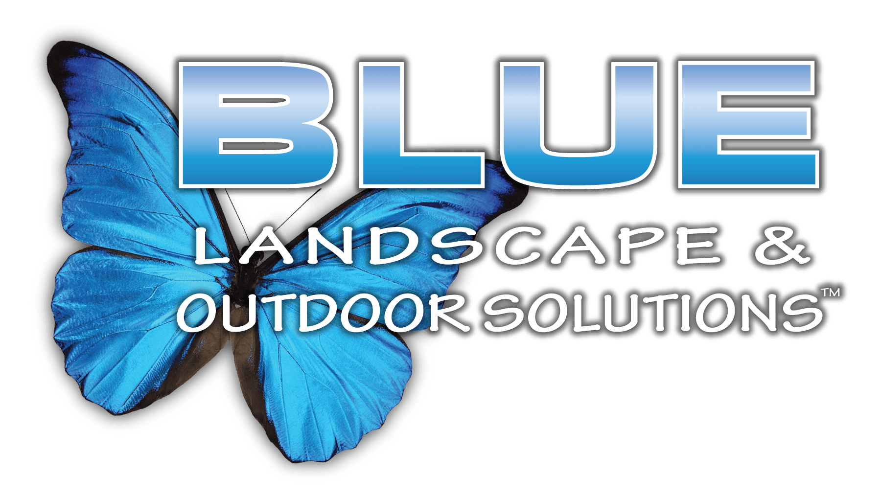 Companies - Mariani Premier Group